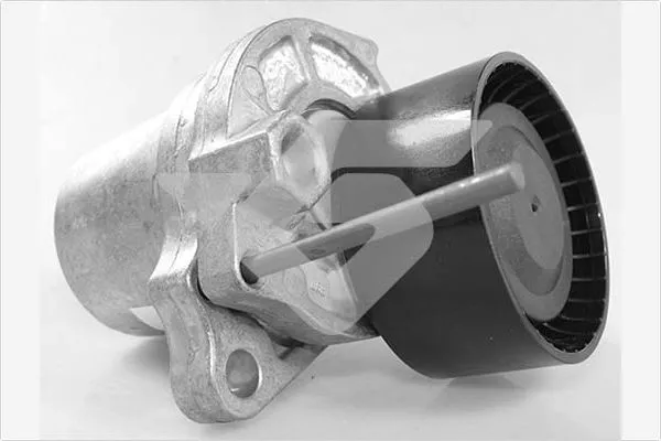 TENSIONERS & IDLERS RENAULT 117505337R - European Auto Imports